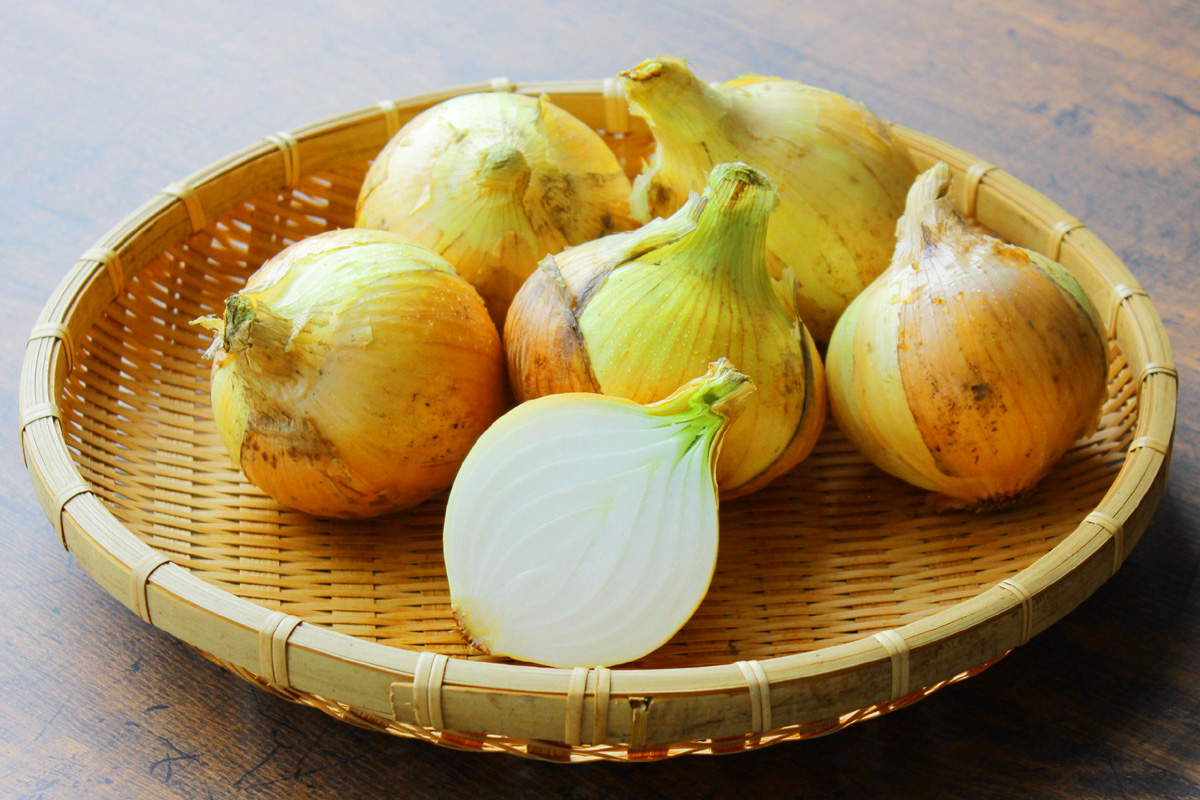 春の味覚！ 獲れたて新玉ねぎ3kg【令和6年産･ご予約販売スタート！】 - とことこ暮らし